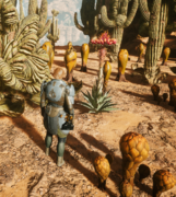 Agave Seeds - Dune: Awakening Community Wiki